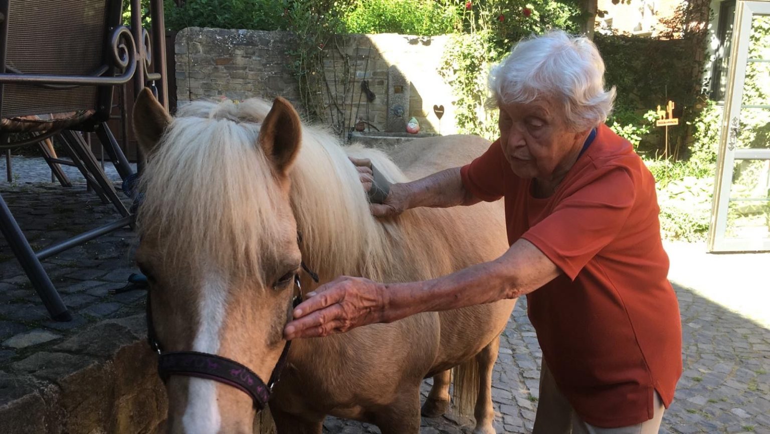 Senioren Wg Auf Dem Bauernhof